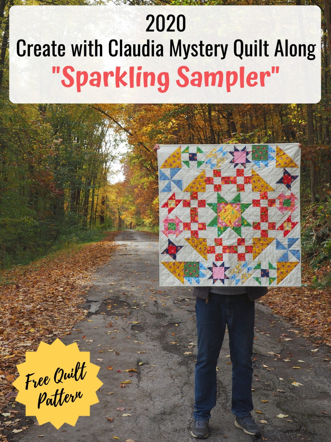 The 2020 Create with Claudia Mystery Quilt Along Pattern - Sparkling ...