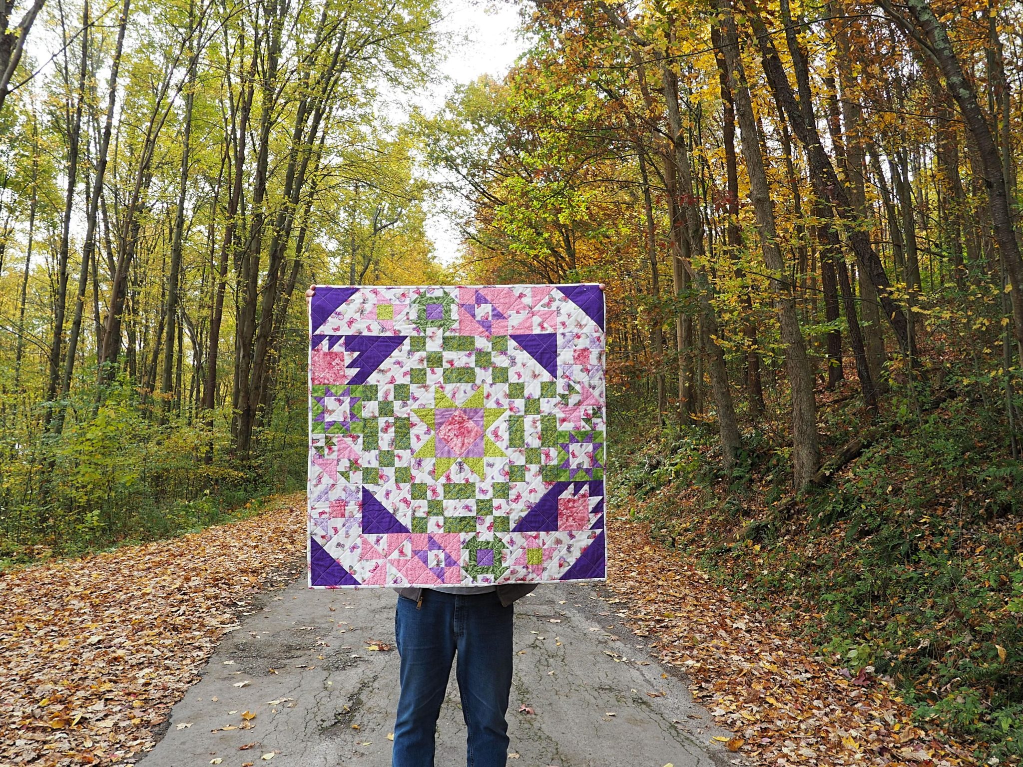 The 2020 Create with Claudia Mystery Quilt Along Pattern - Sparkling ...