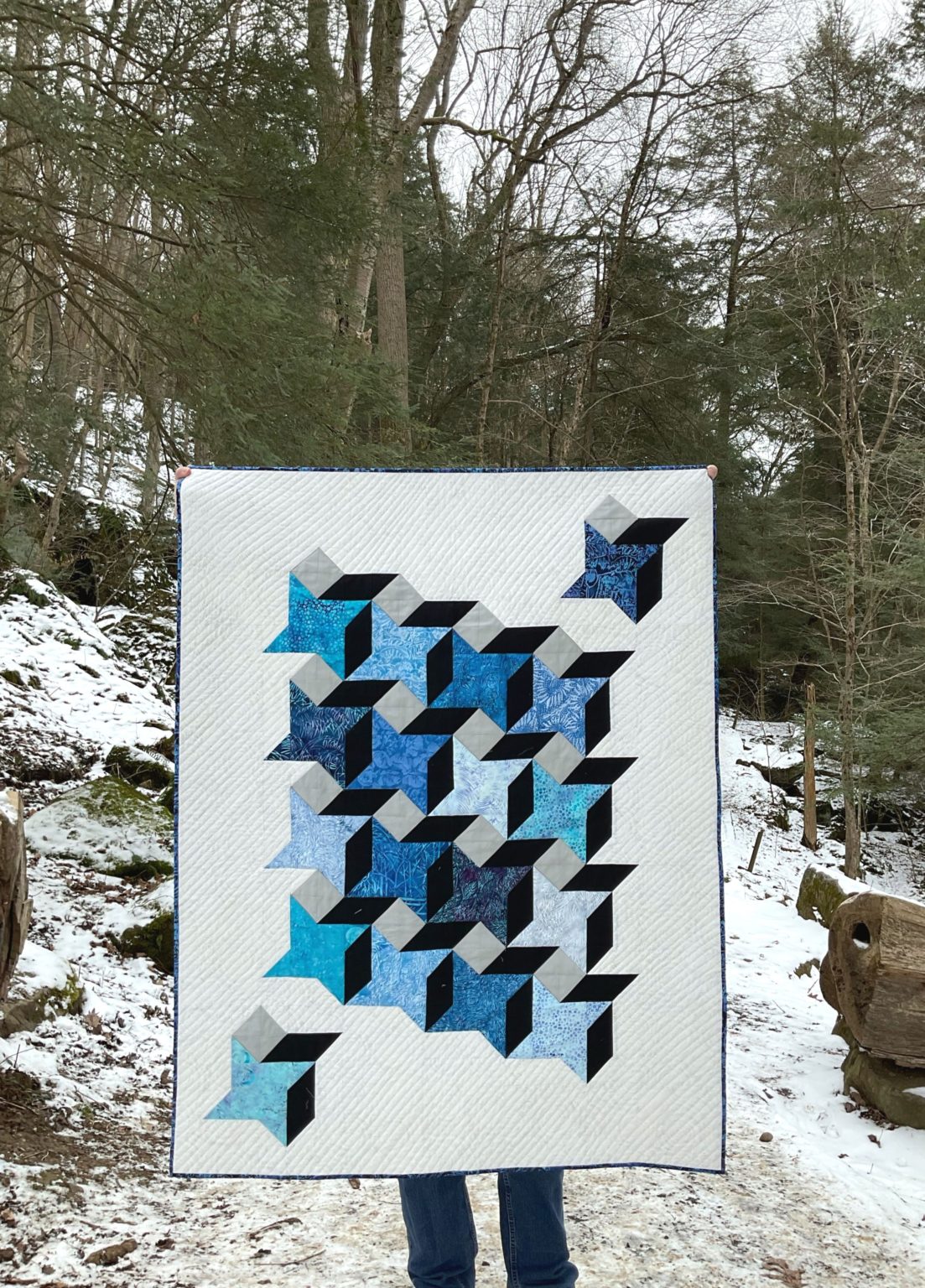 Create for a Cause Quilt - Pleiades - Create with Claudia