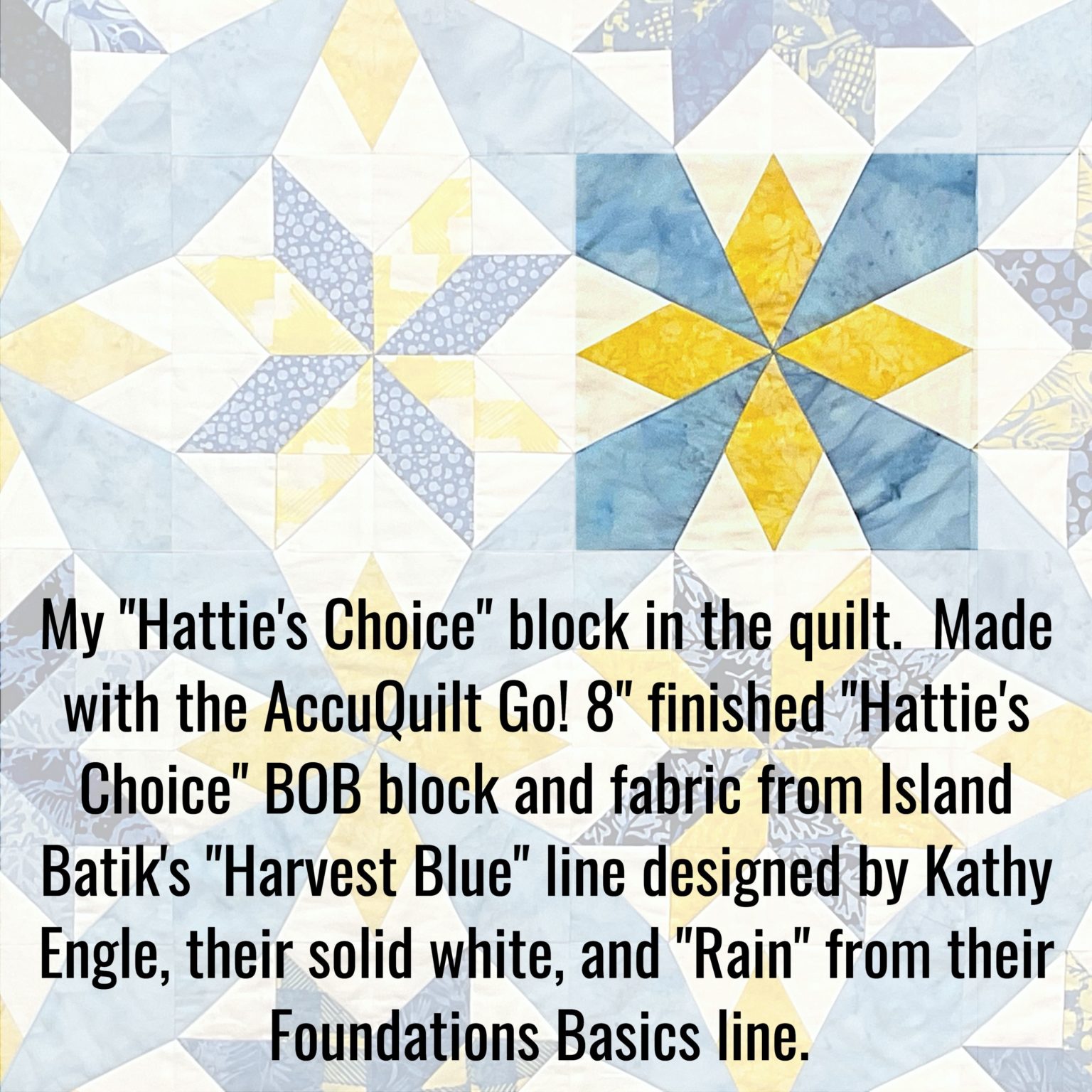 Quilting with the AccuQuilt® Go! Hattie's Choice Die and the 8" Go! Cube - An Island Batik Quilt ...